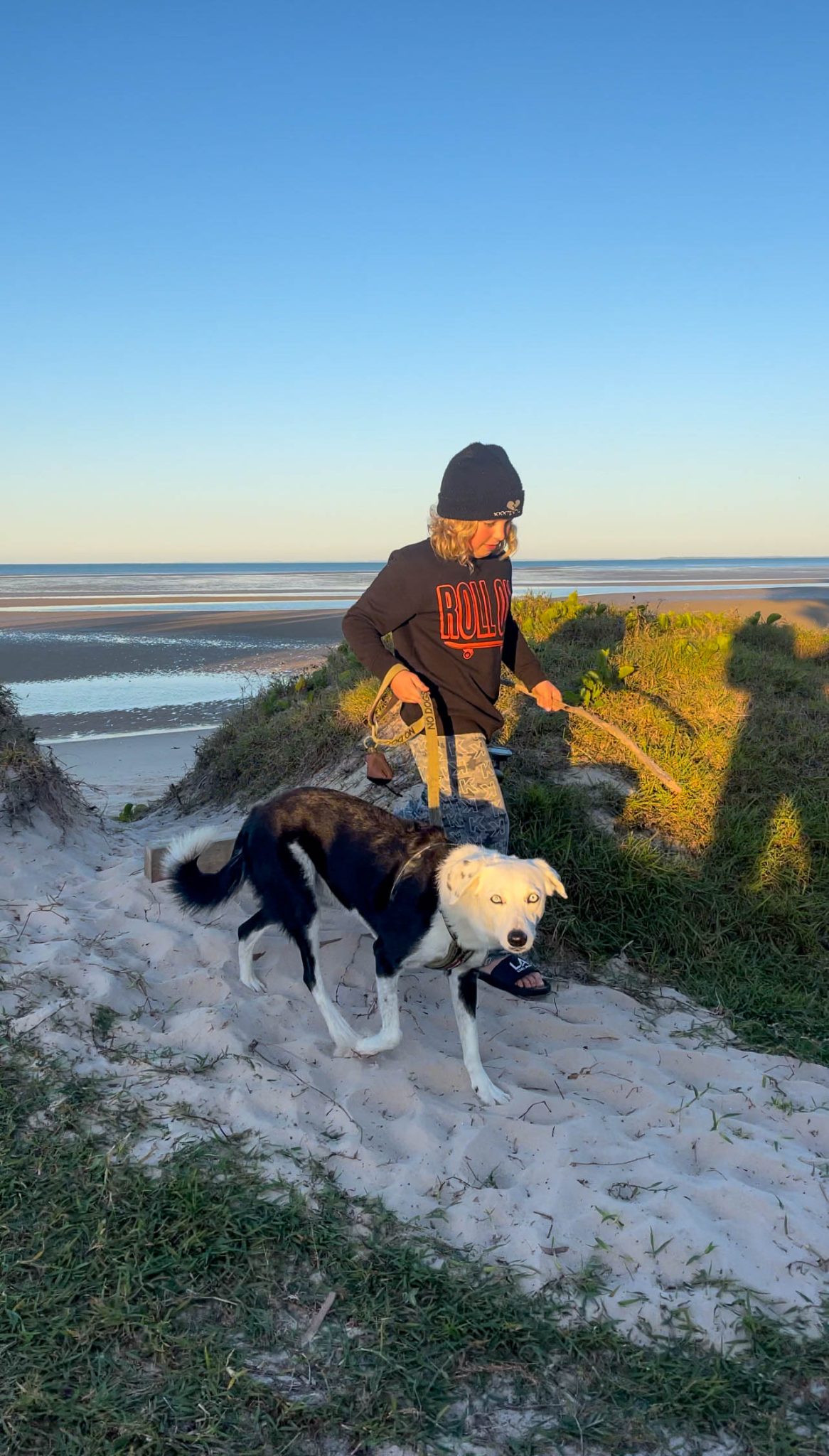 Pet Sitters - Campedia